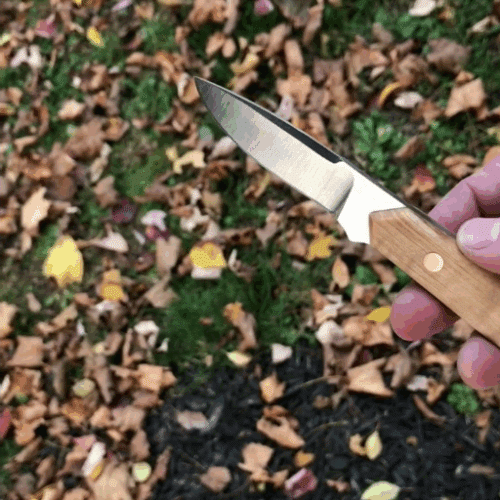 Exploring the Knife: Grad CPM Rex 76 and Spyderco Innovations